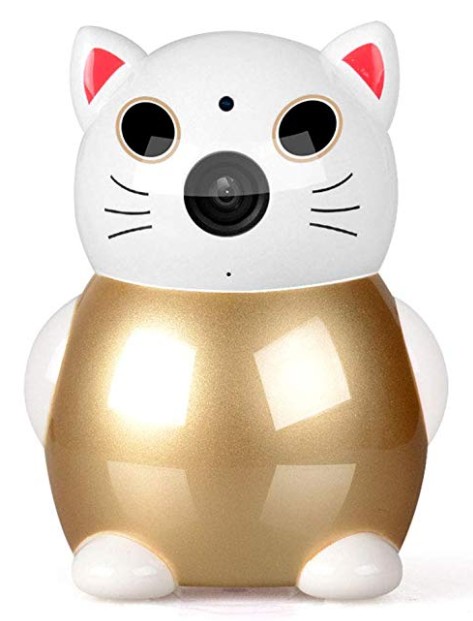 Best Pet Monitoring Camera UK. Don't Miss These Dog Cameras