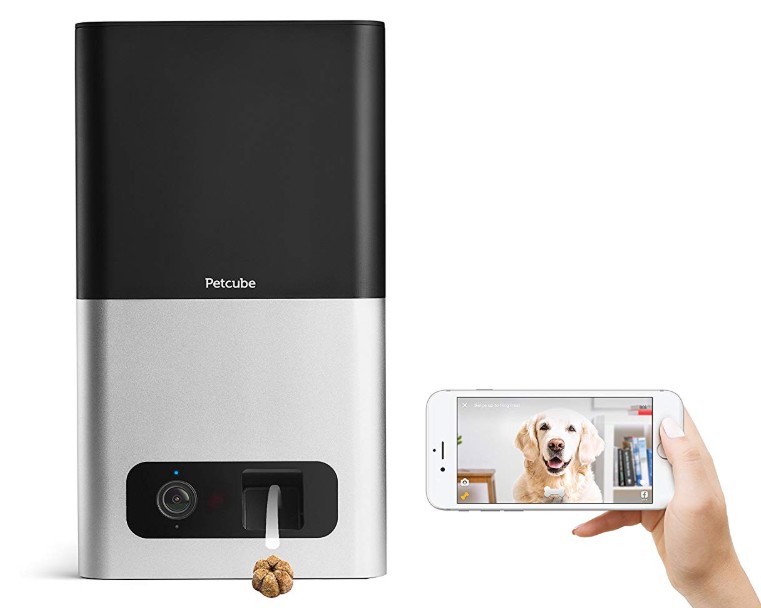 Dog Monitor Camera Uk at Nathan Brodzky blog
