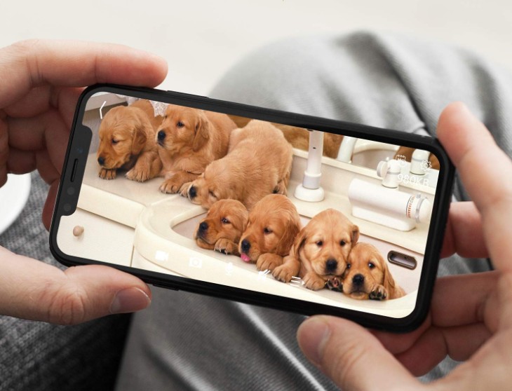 Best Pet Monitoring Camera UK. Don't Miss These Dog Cameras